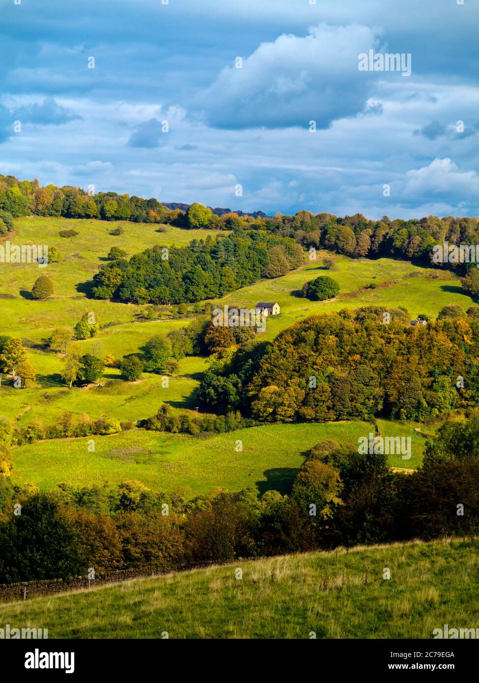 Rolling hills with trees in countryside near Cromford in the Peak ...