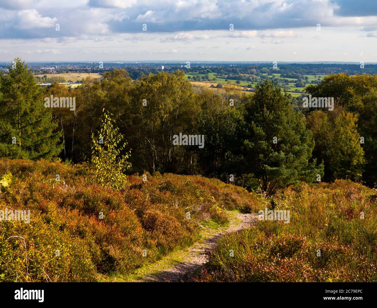 Footpath and trees at Lickey Hills Country Park which lies ten miles ...
