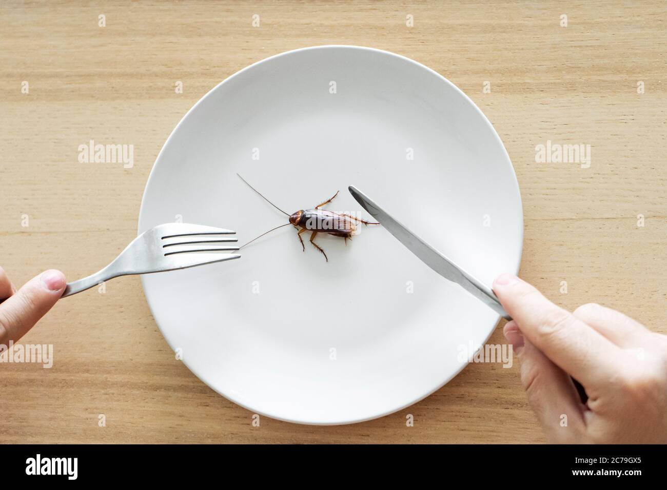 Top view, a man eating a cockroach. Cockroach in a white plate on the ...