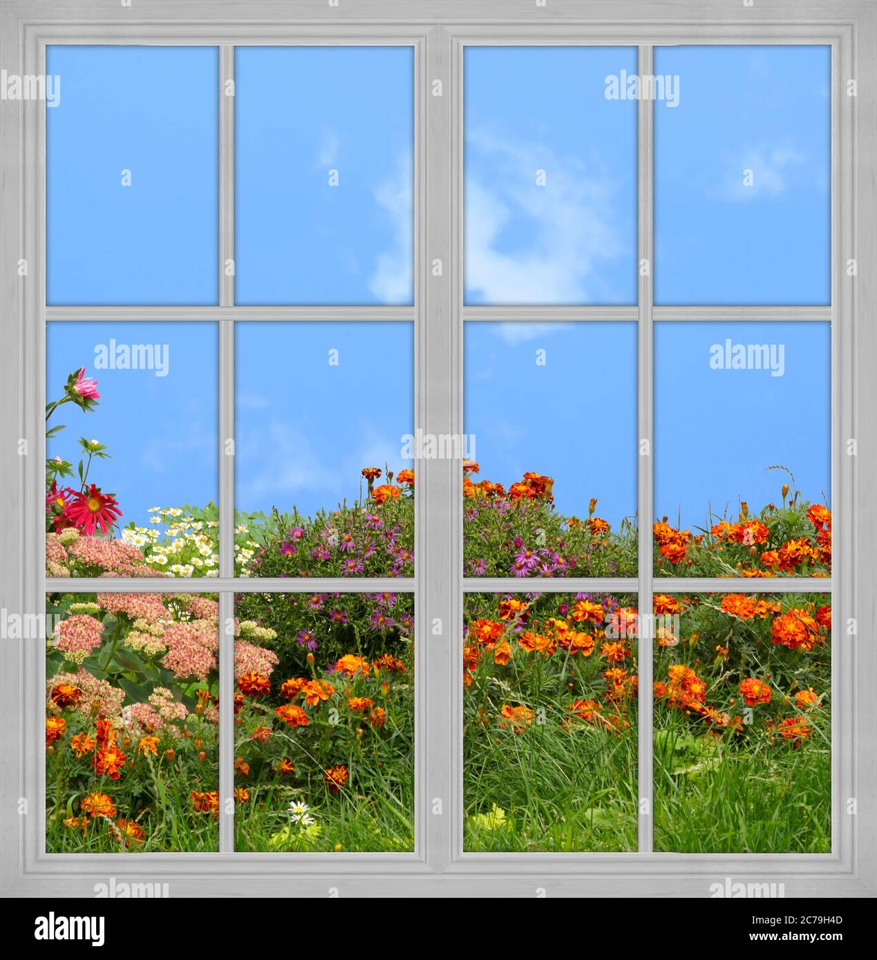 large multi pane windows | Modern windows and doors, Upvc windows Stock ...