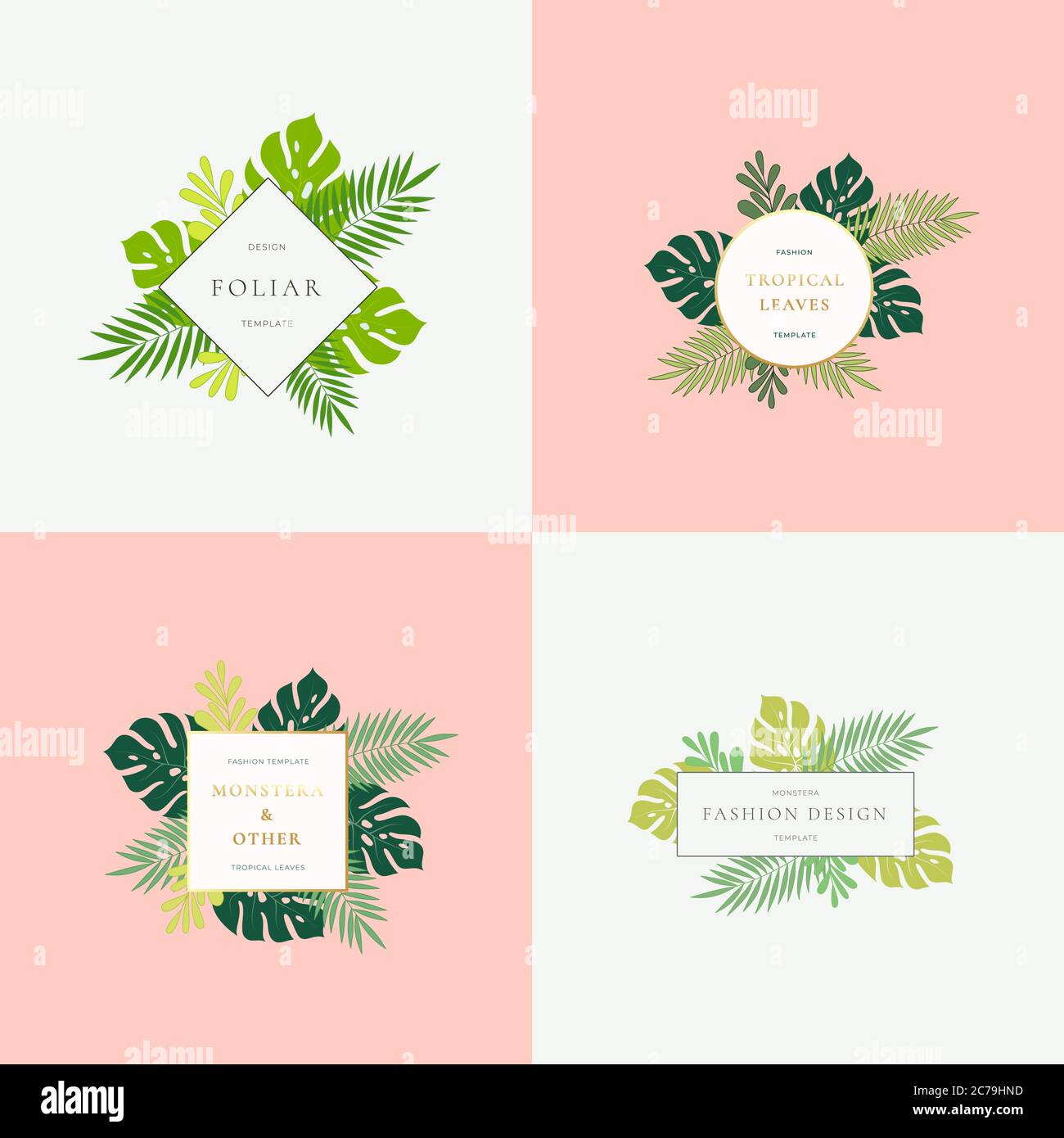Set of Monstera Tropical Leaves Fashion Signs or Logo Templates ...