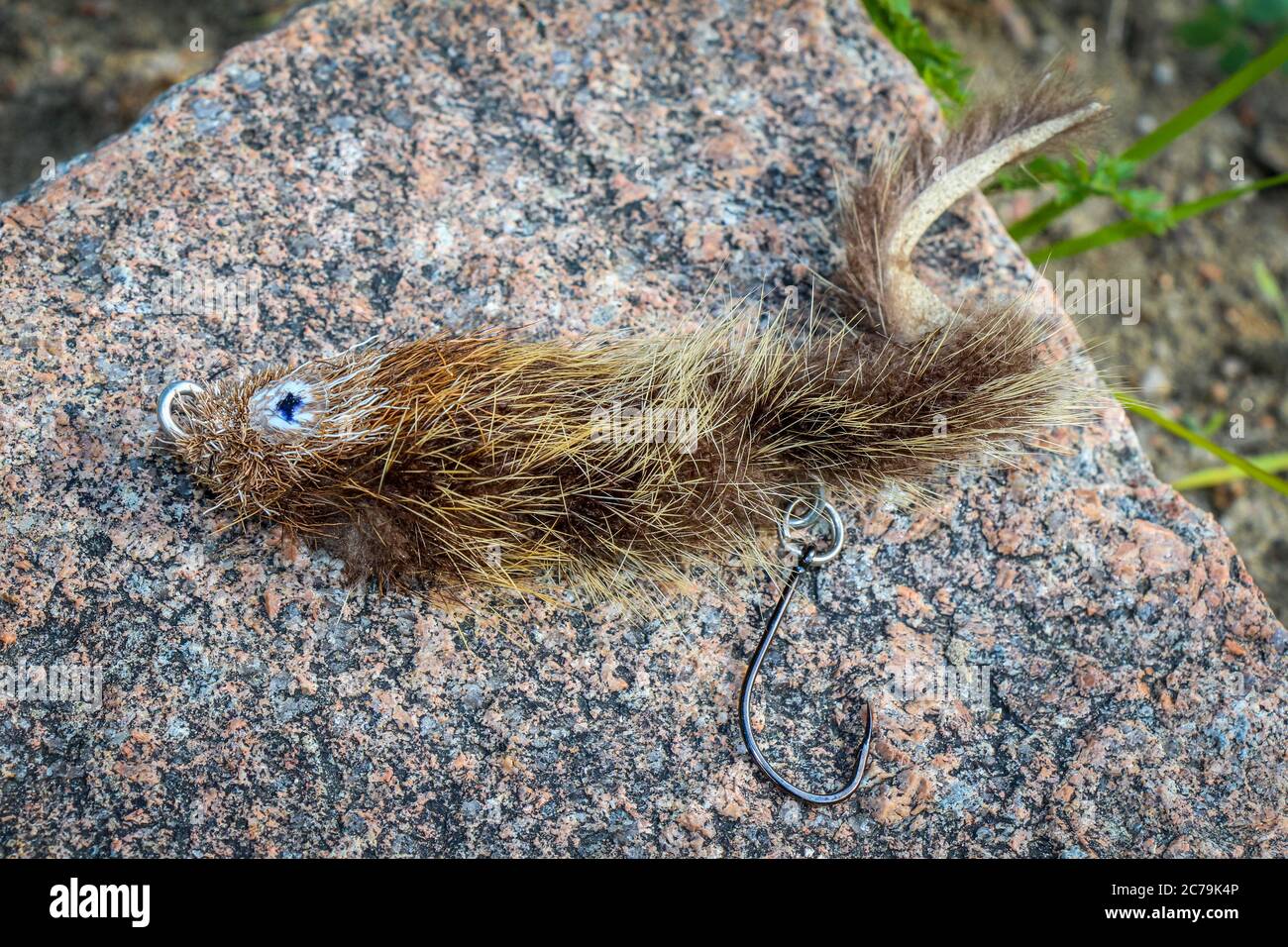 A mouse pattern fly used for fishing for big trout and tiamen on a rock ...