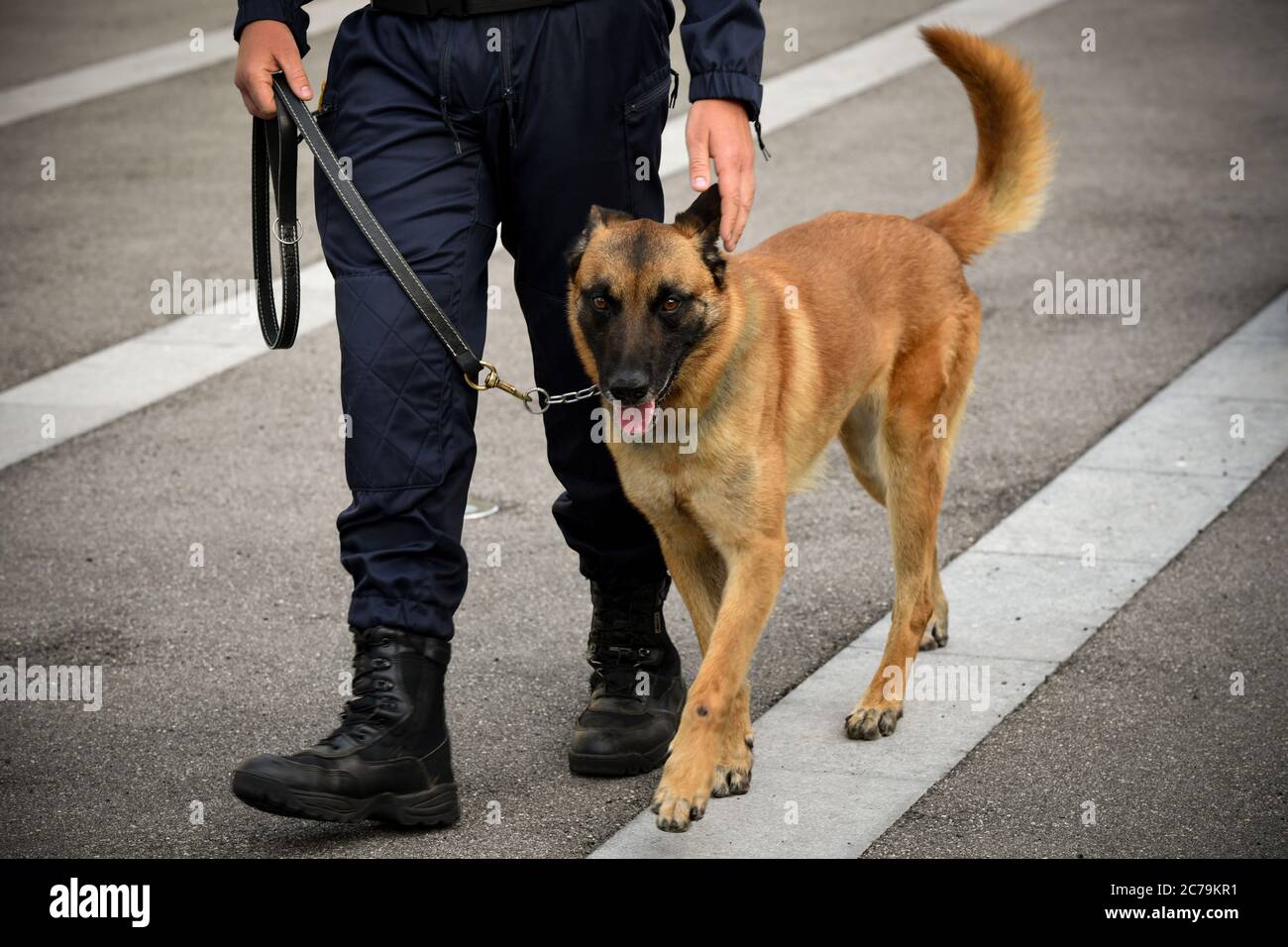 Gendarmerie dog hi-res stock photography and images - Alamy