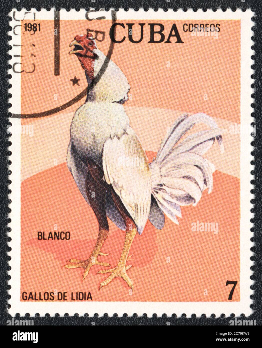 A stamp printed in CUBA shows White game rooster Blanco, from series ...