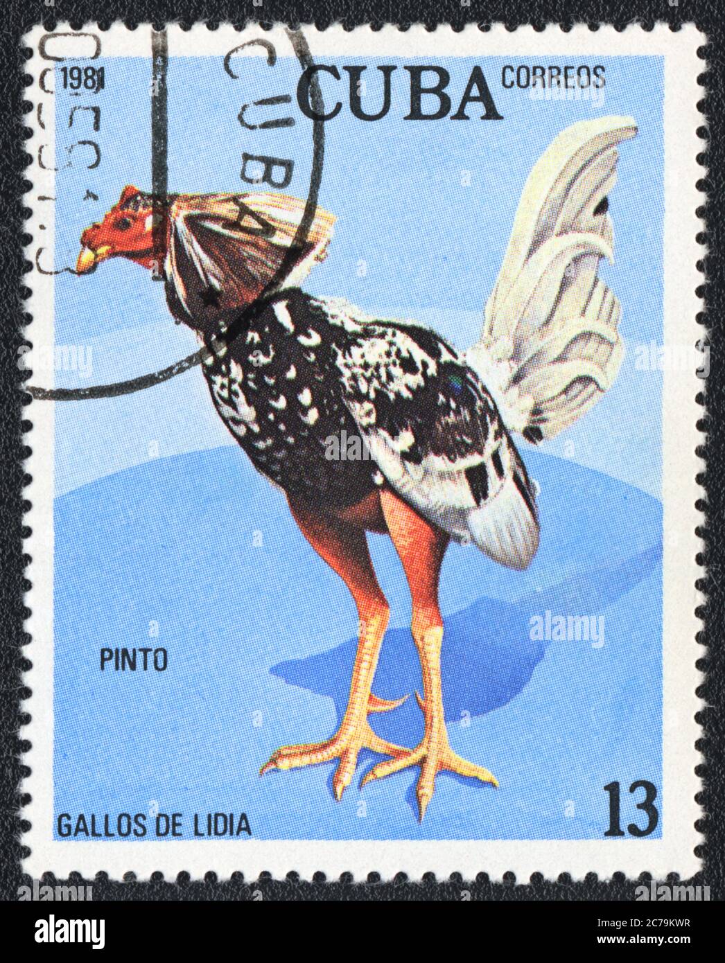 The stamp printed in CUBA shows game rooster Pinto, from series ...