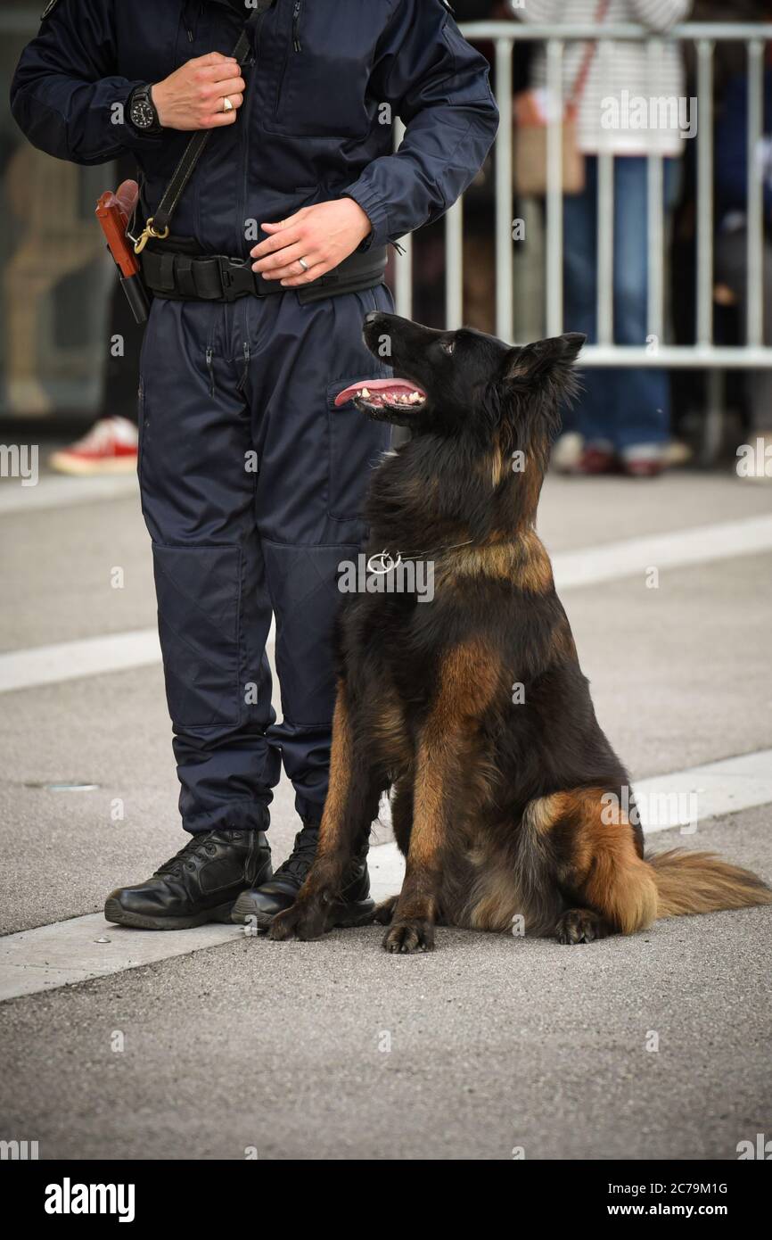 demonstration of policeman dog Stock Photo - Alamy