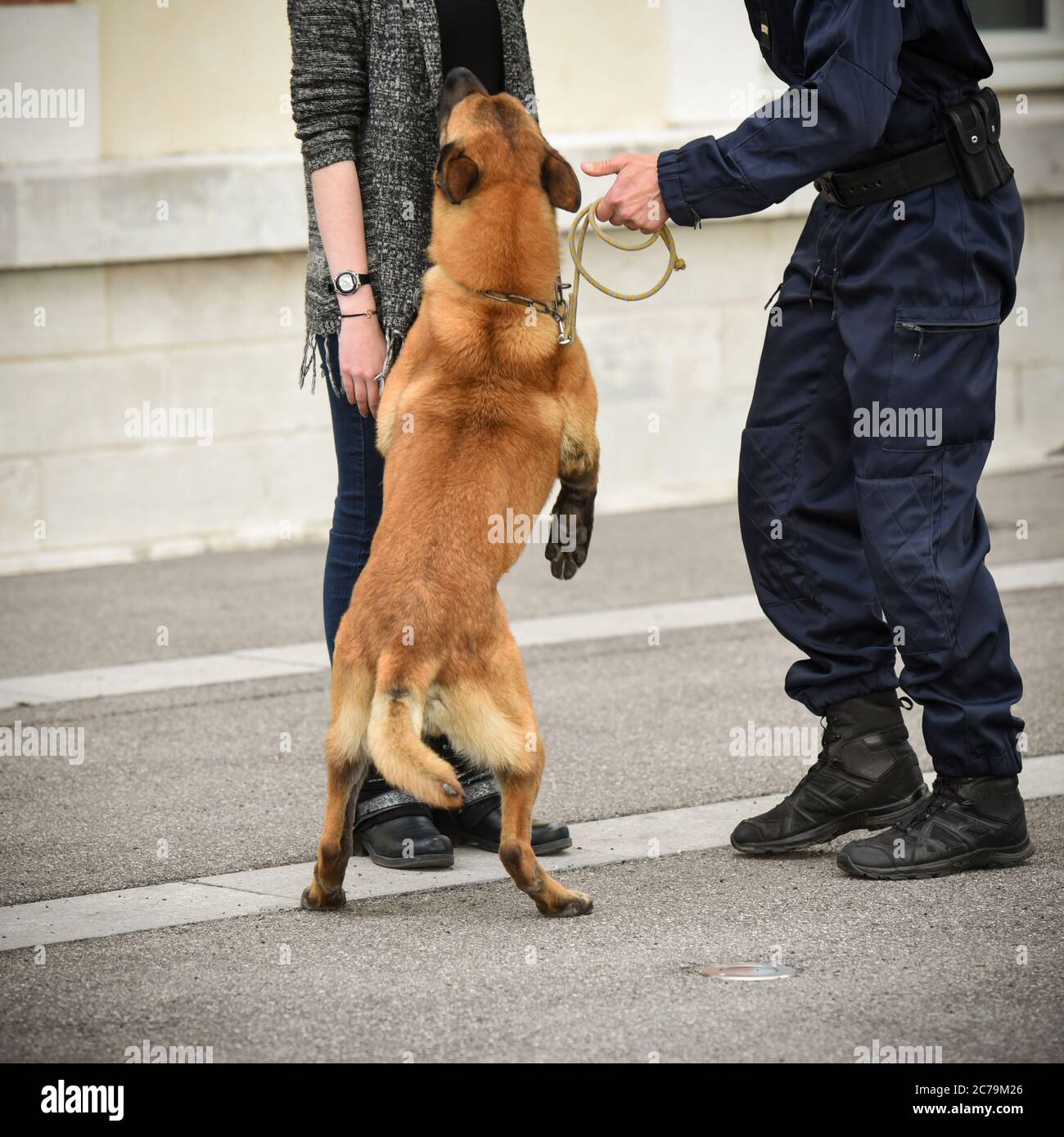 Gendarmerie dog hi-res stock photography and images - Alamy