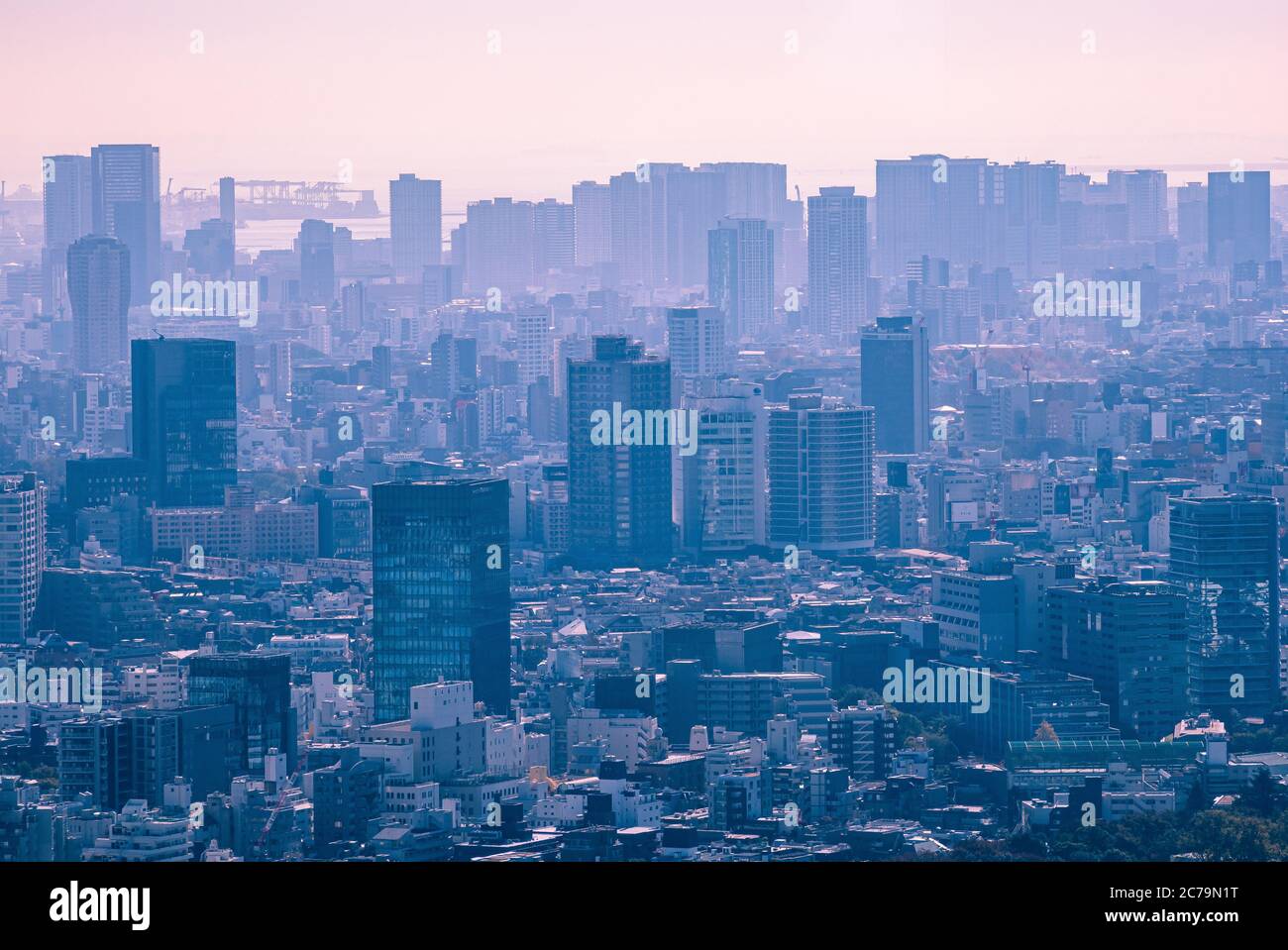 Tokyo skyline seen from shinjuku hi-res stock photography and images ...