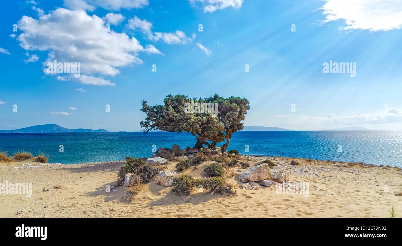 Bahrain aruba hi-res stock photography and images - Alamy