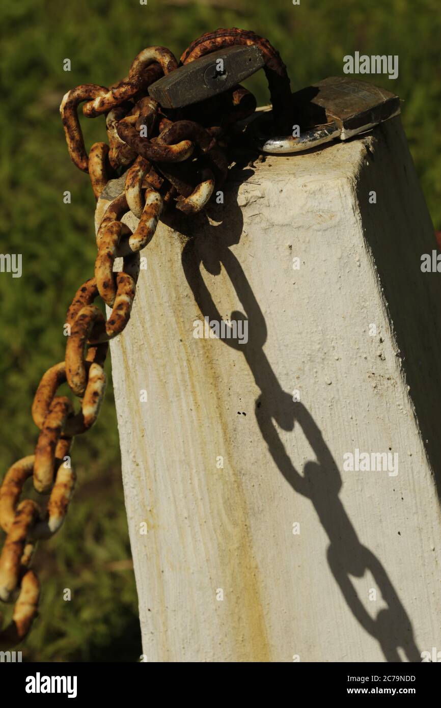 Curepipe Botanic Gardens (or SSR Botanical Garden of Curepipe) in Route ...