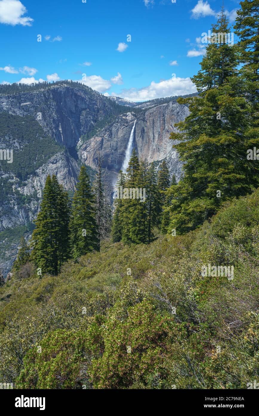 hiking the four mile trail in the yosemite national park in california ...