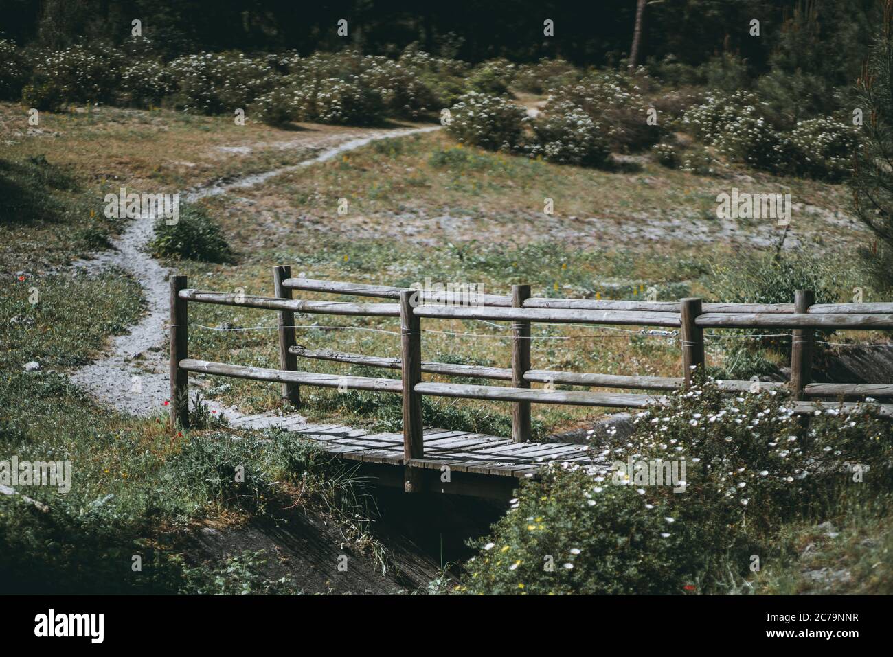 A small wooden bridge over a narrow concrete gutter and a winding ...