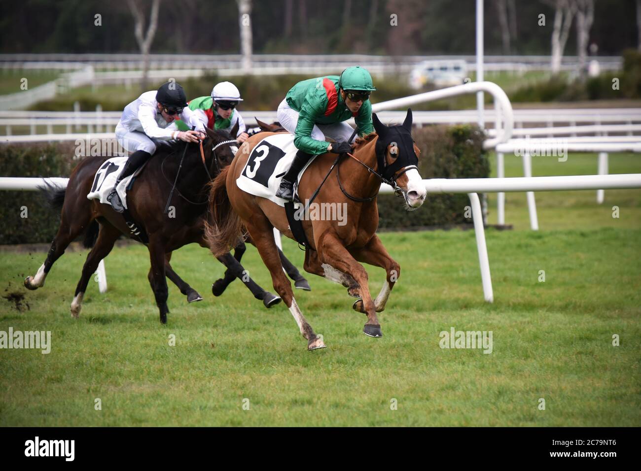 beautiful horse racing in hippodrome Stock Photo - Alamy