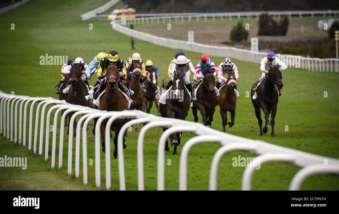 beautiful horse racing in hippodrome Stock Photo - Alamy