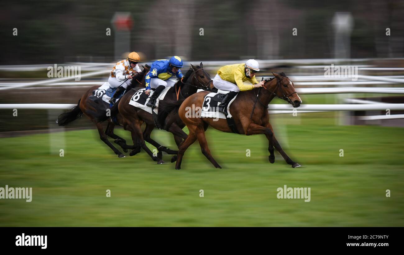 beautiful horse racing in hippodrome Stock Photo - Alamy