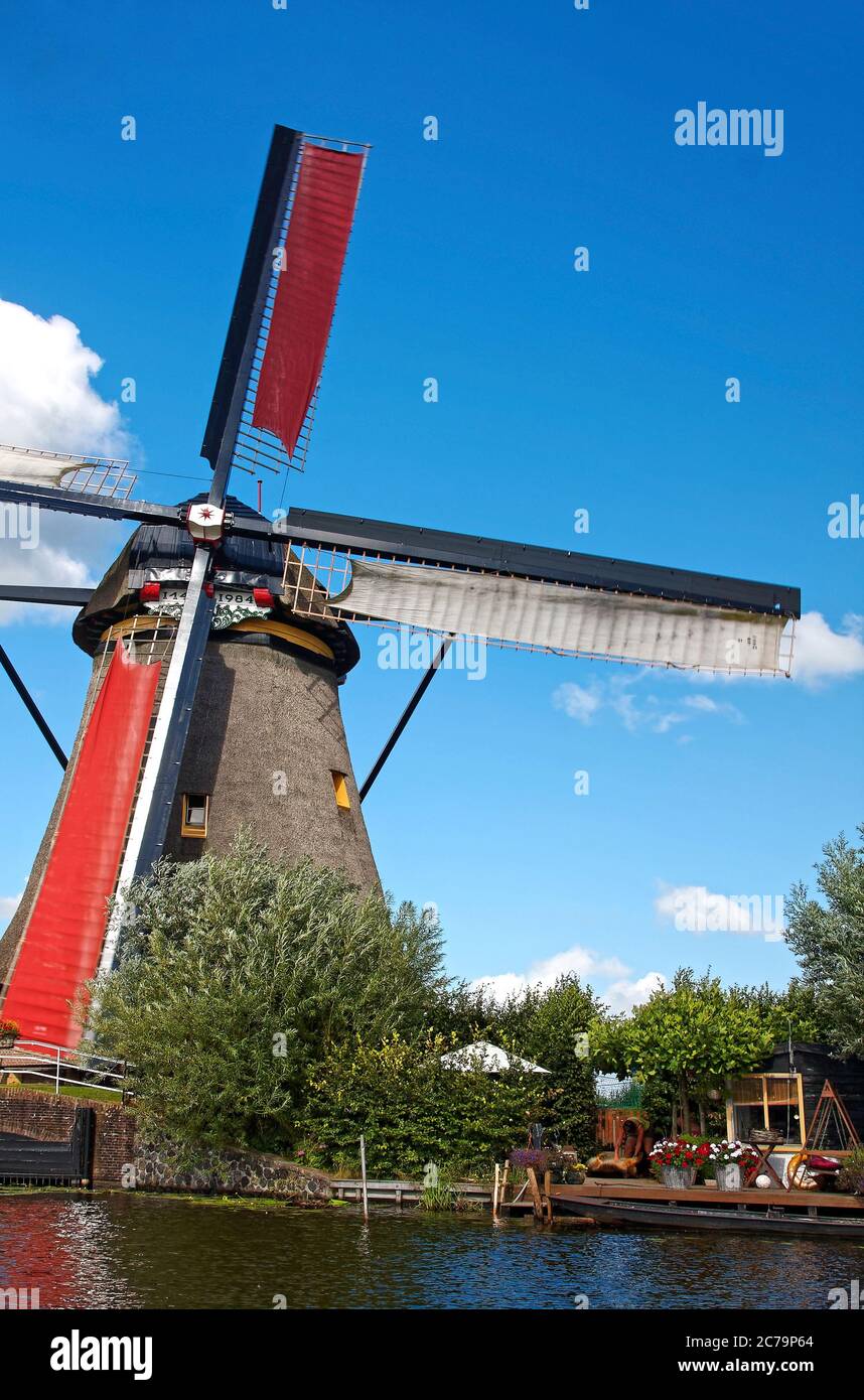 old windmill; Overwaard mill, covered in thatch, red canvas in 2 sails ...