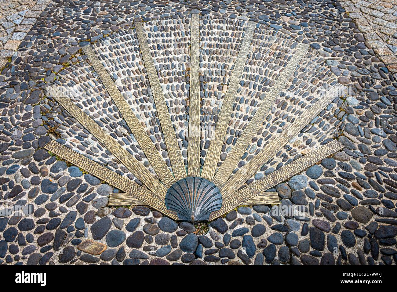 Scallop shell ,Symbol for The way of saint James or compostelle ...