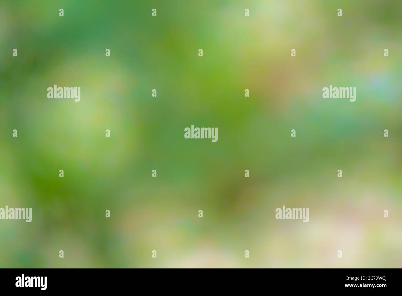 Blurry green background. Can be used as Illustration background, fresh ...