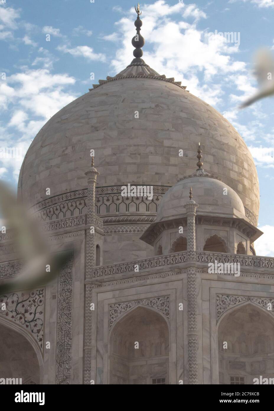 taj mahal tomb with flying pigeons blurred Stock Photo - Alamy