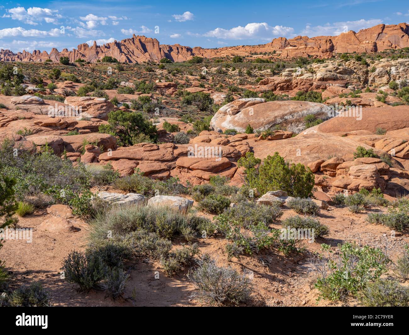 Petrified dunes hi-res stock photography and images - Alamy