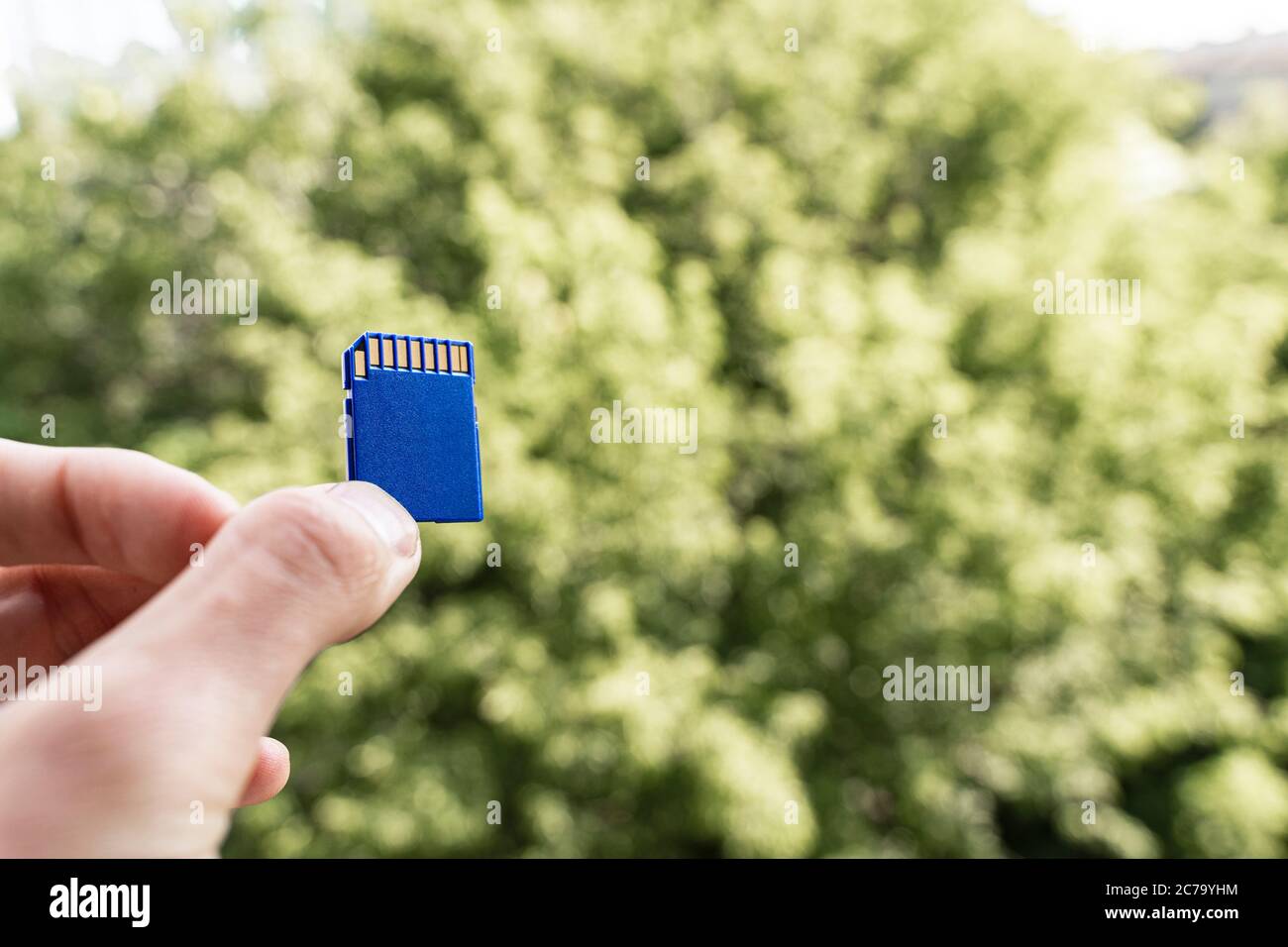 fingers hold SD memory card in front of a blurred green trees Stock ...