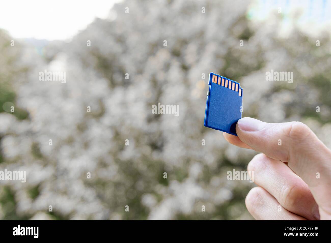 man hand holding a blue memory card with yellow connector, selective ...