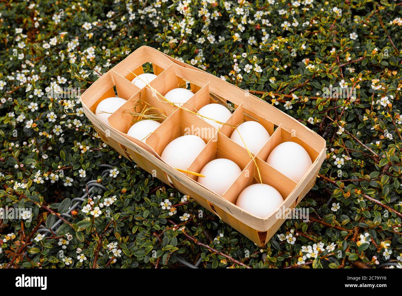Fresh rustic eggs in wooden container at nature village farmland with ...