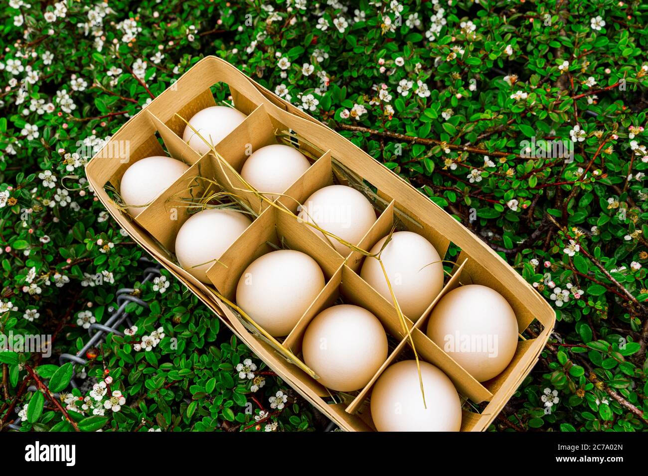 Fresh rustic eggs in wooden container at nature village farmland with ...