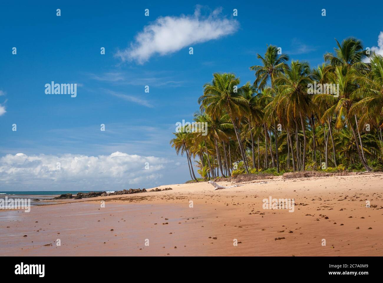 Sunny day at Taipú de Fora Beach, Penisula de Marau, BA, Brazil Stock ...