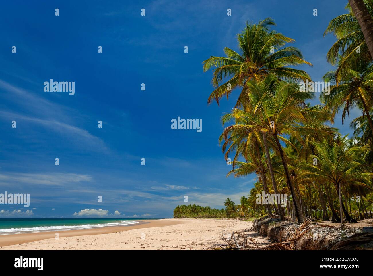 Taipu de Fora Beach, Penisula de Marau, Bahia, Brazil Stock Photo - Alamy
