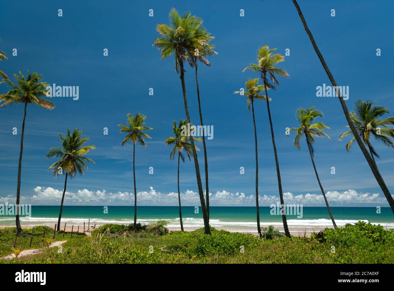 Taipu de Fora Beach, Penisula de Marau, Bahia, Brazil Stock Photo - Alamy