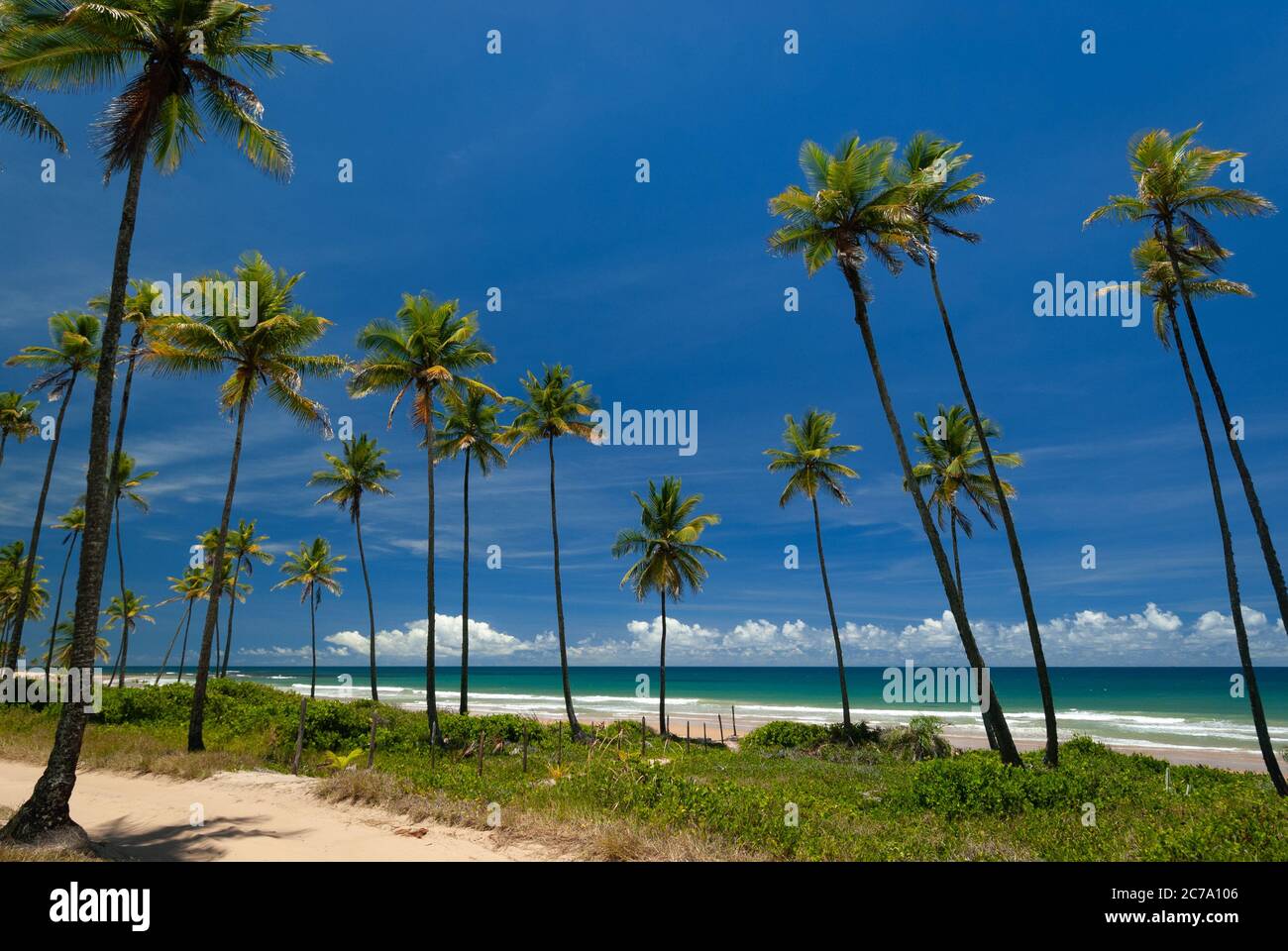 Taipu de Fora Beach, Penisula de Marau, Bahia, Brazil Stock Photo - Alamy