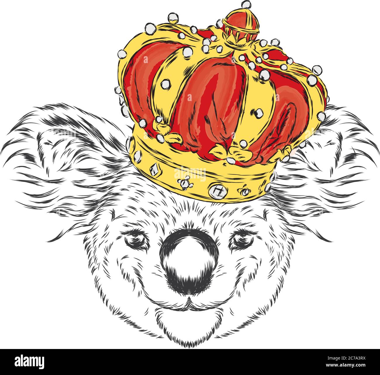 Koala in the crown. Vector illustration. King Stock Vector Image & Art ...