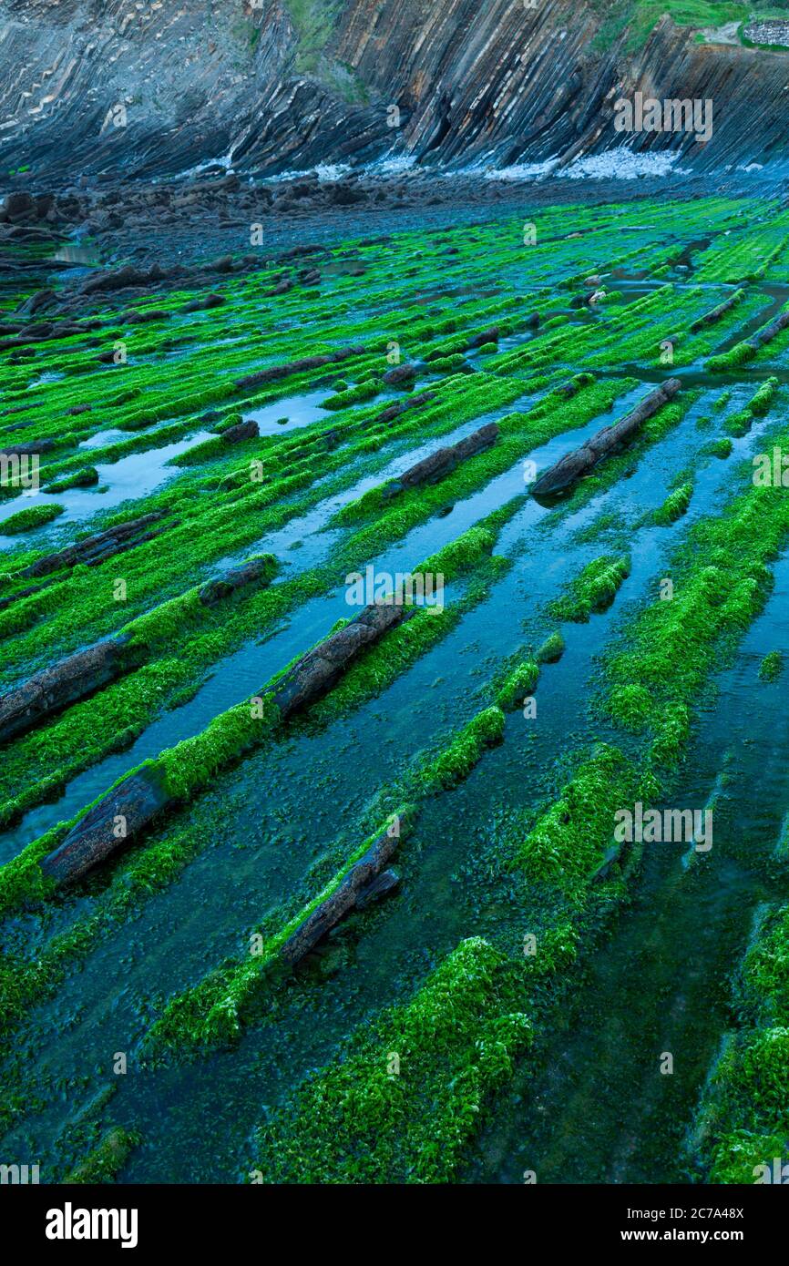 Flysch, Sakoneta beach, Deva, Gipuzkoa, The Basque Country, The Bay of ...
