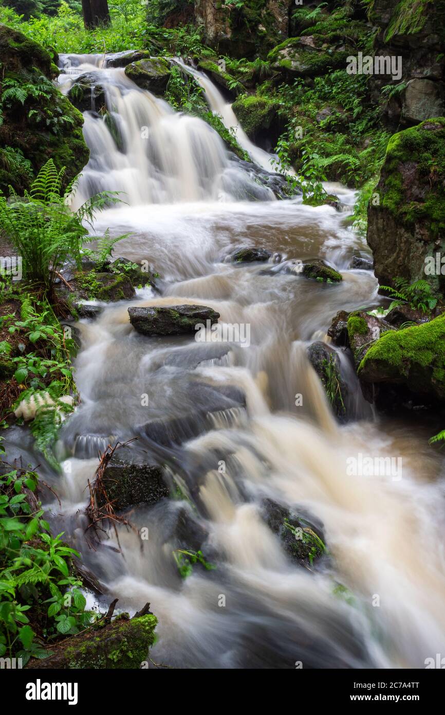 Green doubrava hi-res stock photography and images - Alamy