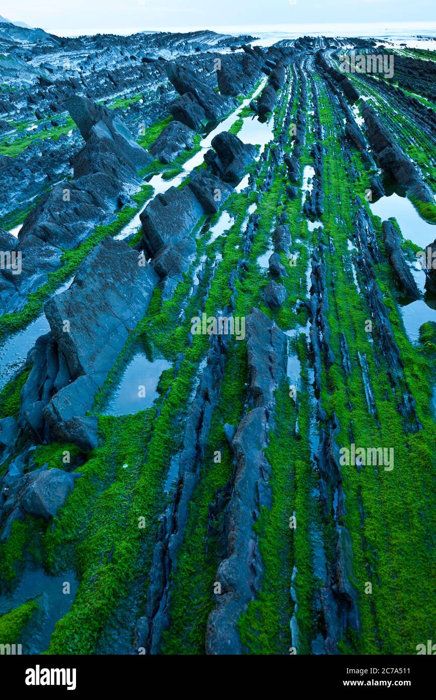 Flysch, Sakoneta beach, Deva, Gipuzkoa, The Basque Country, The Bay of ...