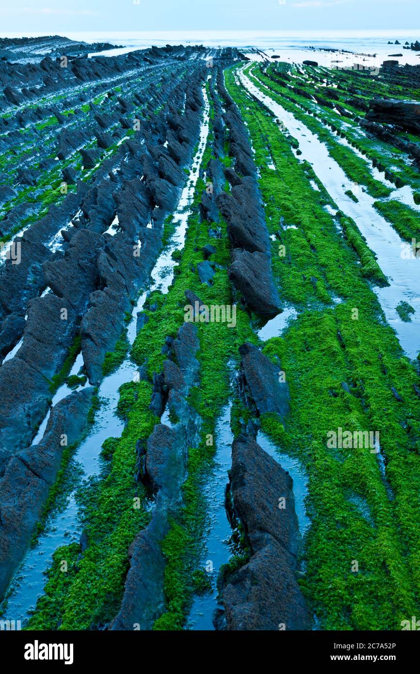 Flysch, Sakoneta beach, Deva, Gipuzkoa, The Basque Country, The Bay of ...