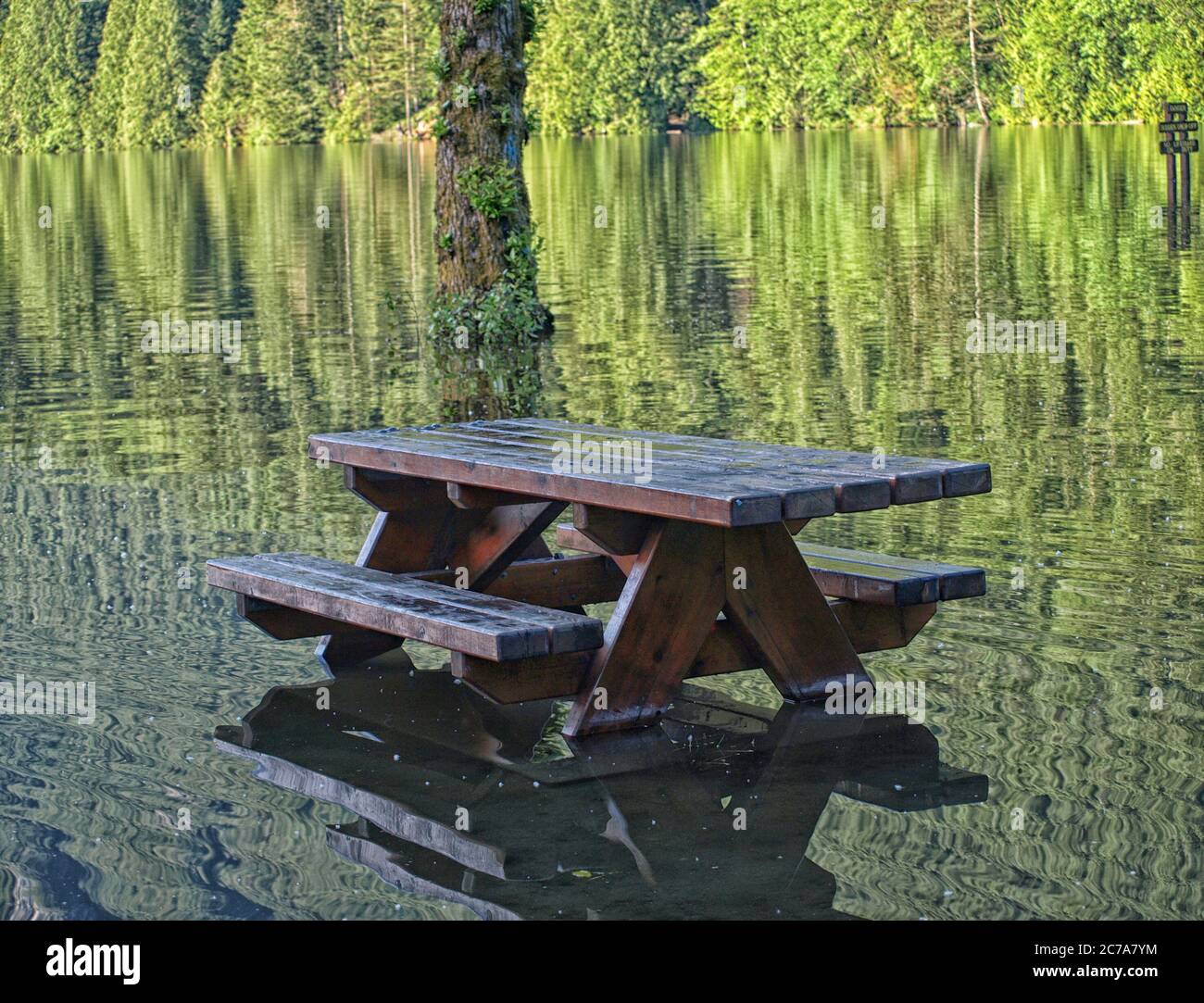 Reflections water bench hi-res stock photography and images - Alamy