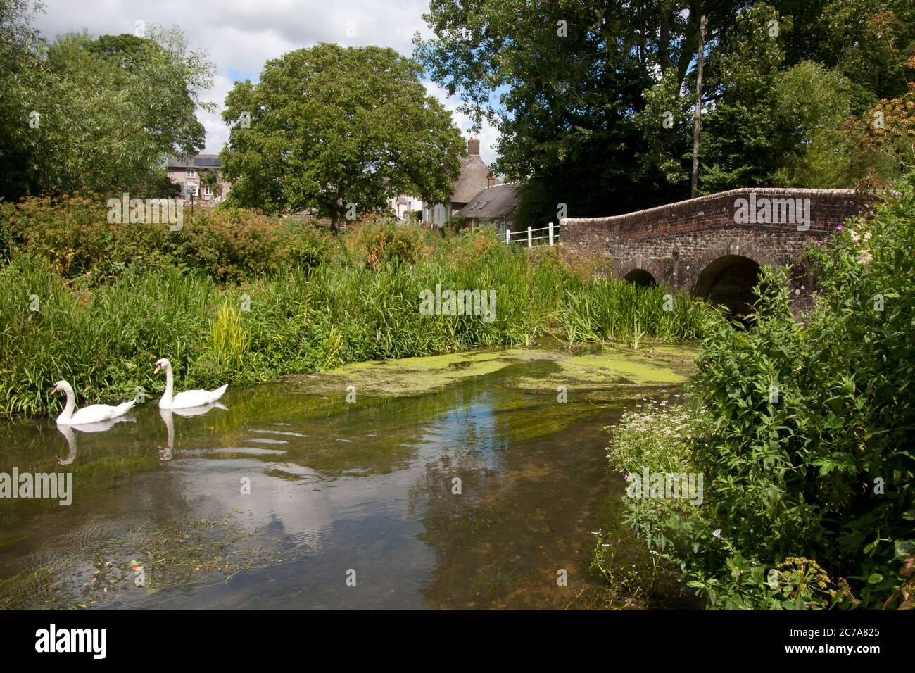 Thomas hardy dorchester hi-res stock photography and images - Alamy