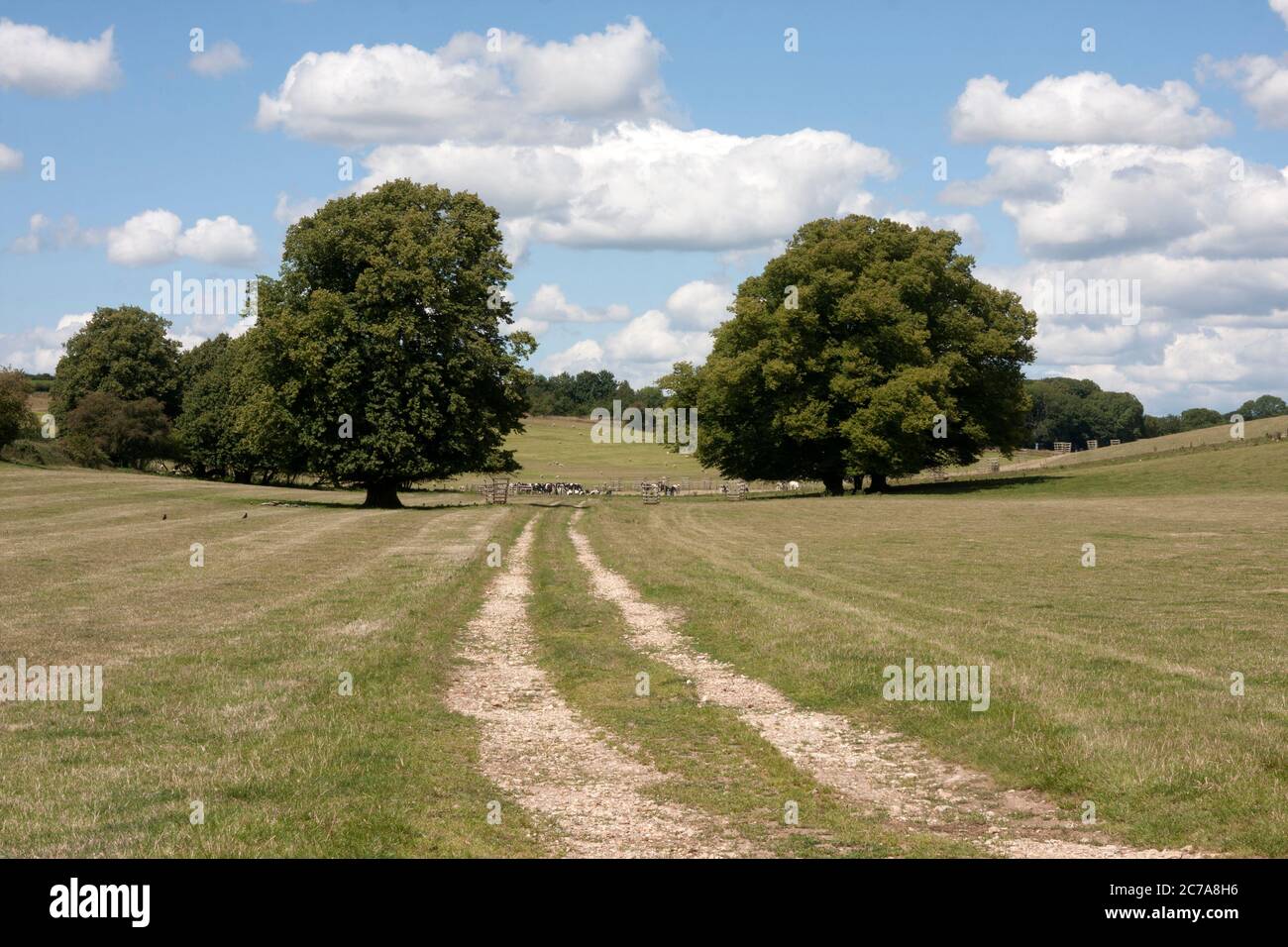 Thomas hardy dorchester hi-res stock photography and images - Alamy