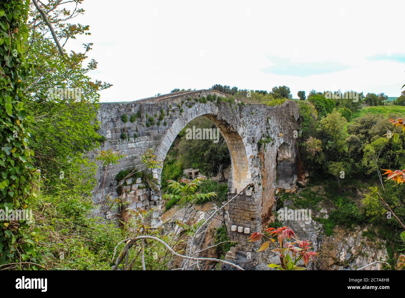 The Etruscan natural and archaeological park of Vulci, in the province ...