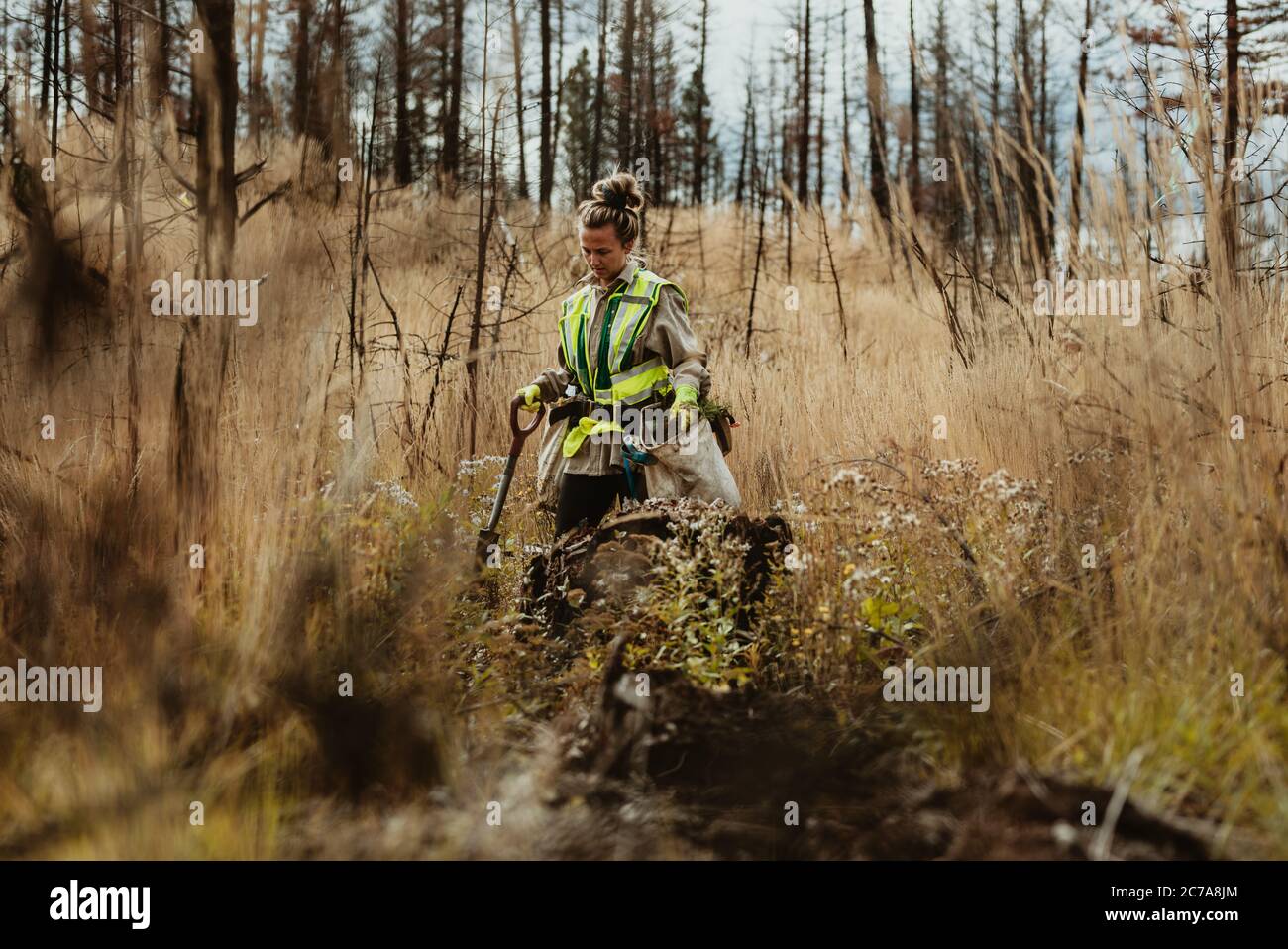 Female tree hi-res stock photography and images - Alamy