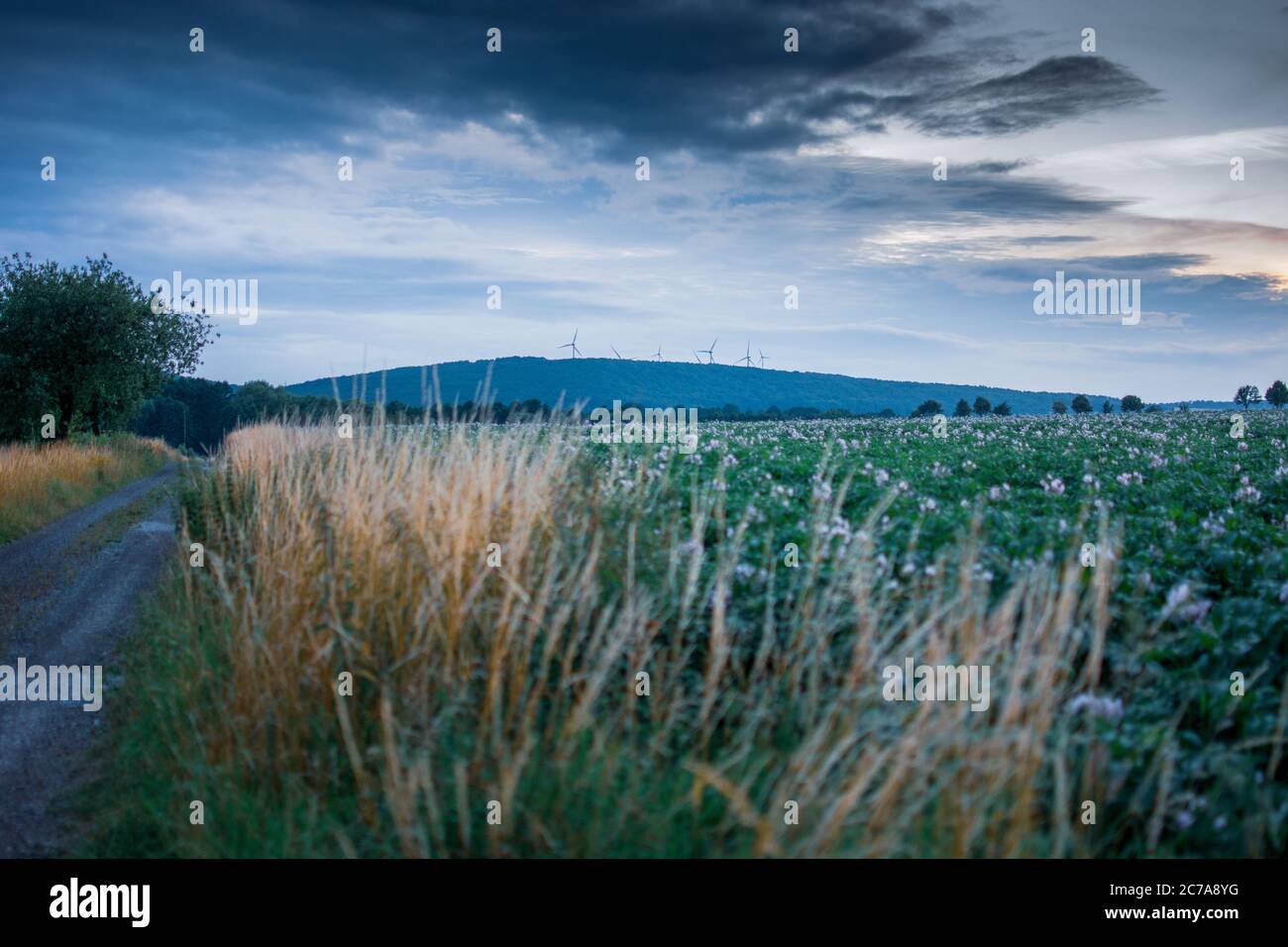 Colorful Sunset and wind wheels .Nature background Stock Photo - Alamy