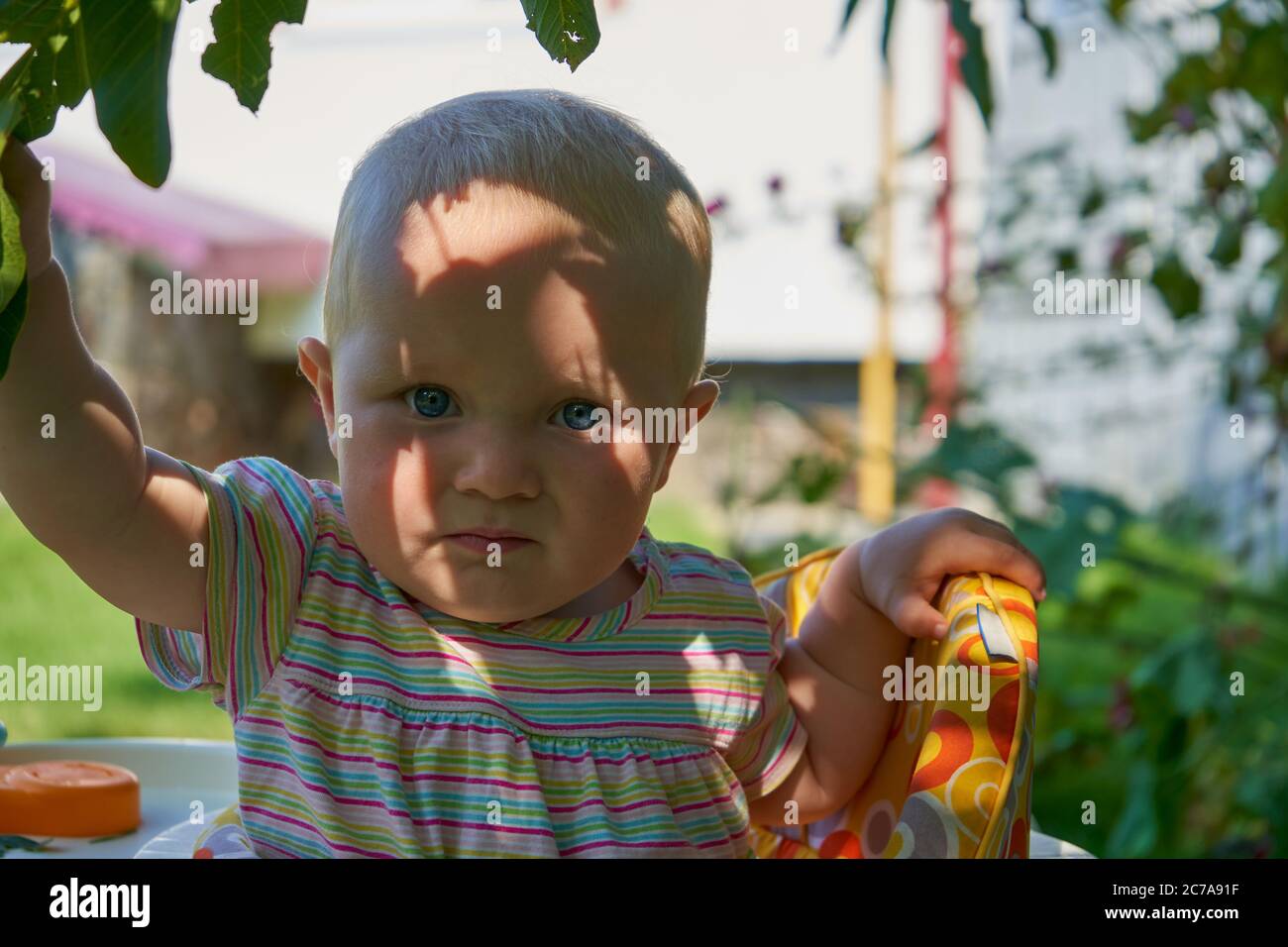 a beautiful baby hid from the heat under a tree, shadows on the face of ...