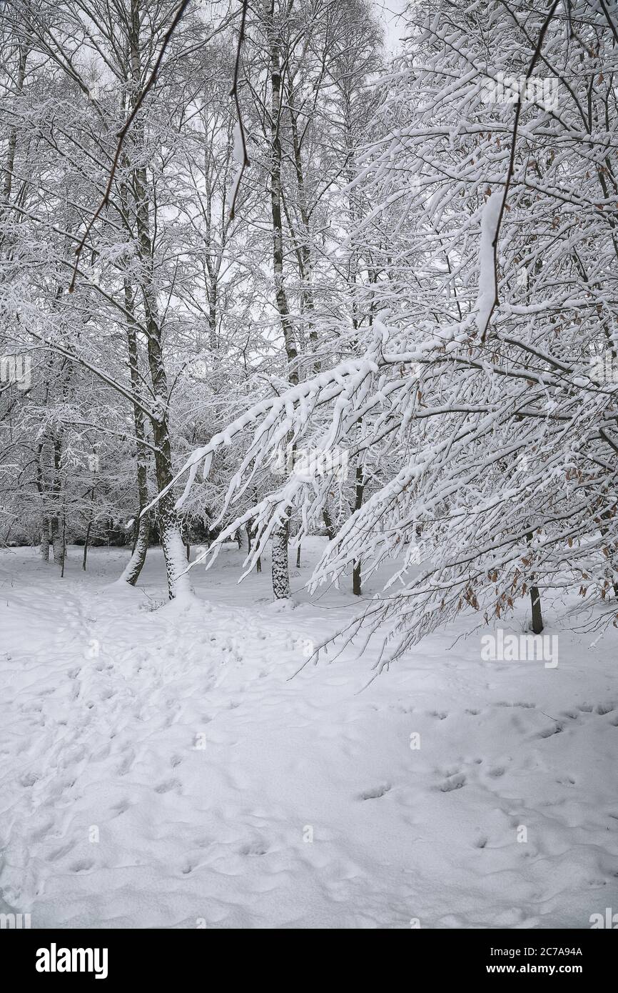 Snow on floor background hi-res stock photography and images - Alamy