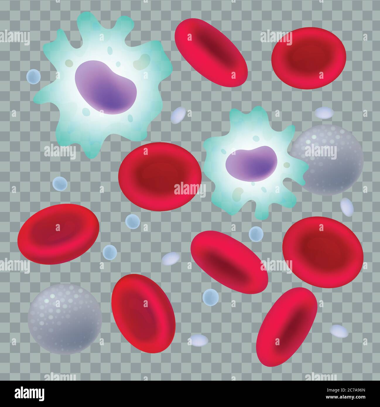 Human cell biology microscope Stock Vector Images - Alamy