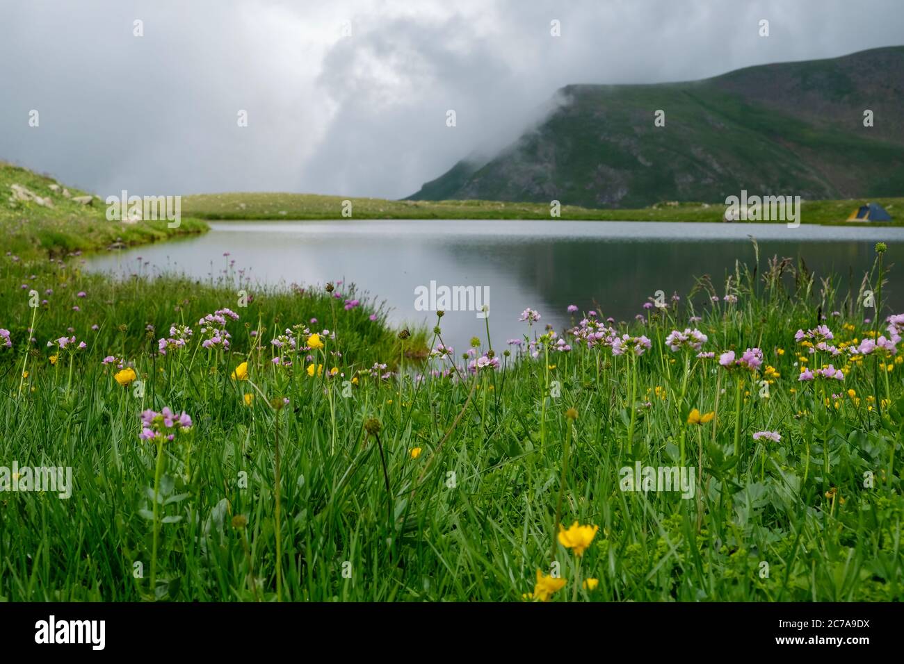 Highlands of Rize province provide suitable areas for camping in spring ...
