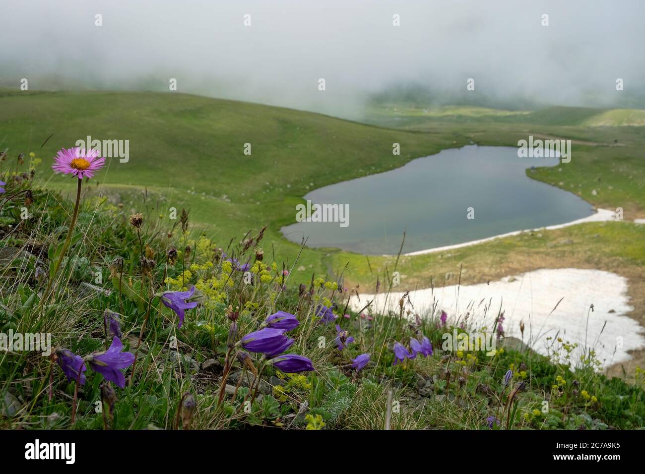 Highlands of Rize province provide suitable areas for camping in spring ...