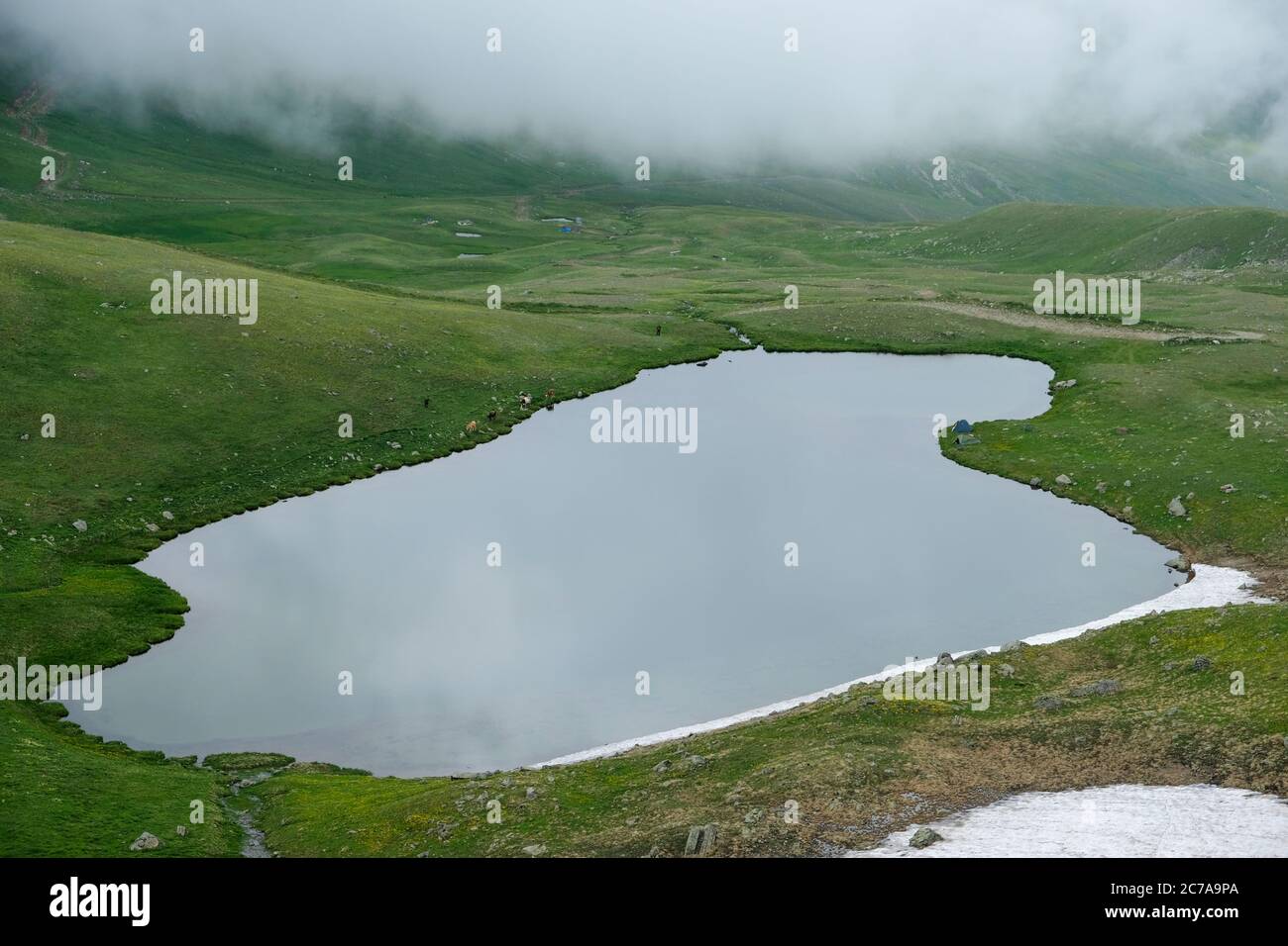 Highlands of Rize province provide suitable areas for camping in spring ...