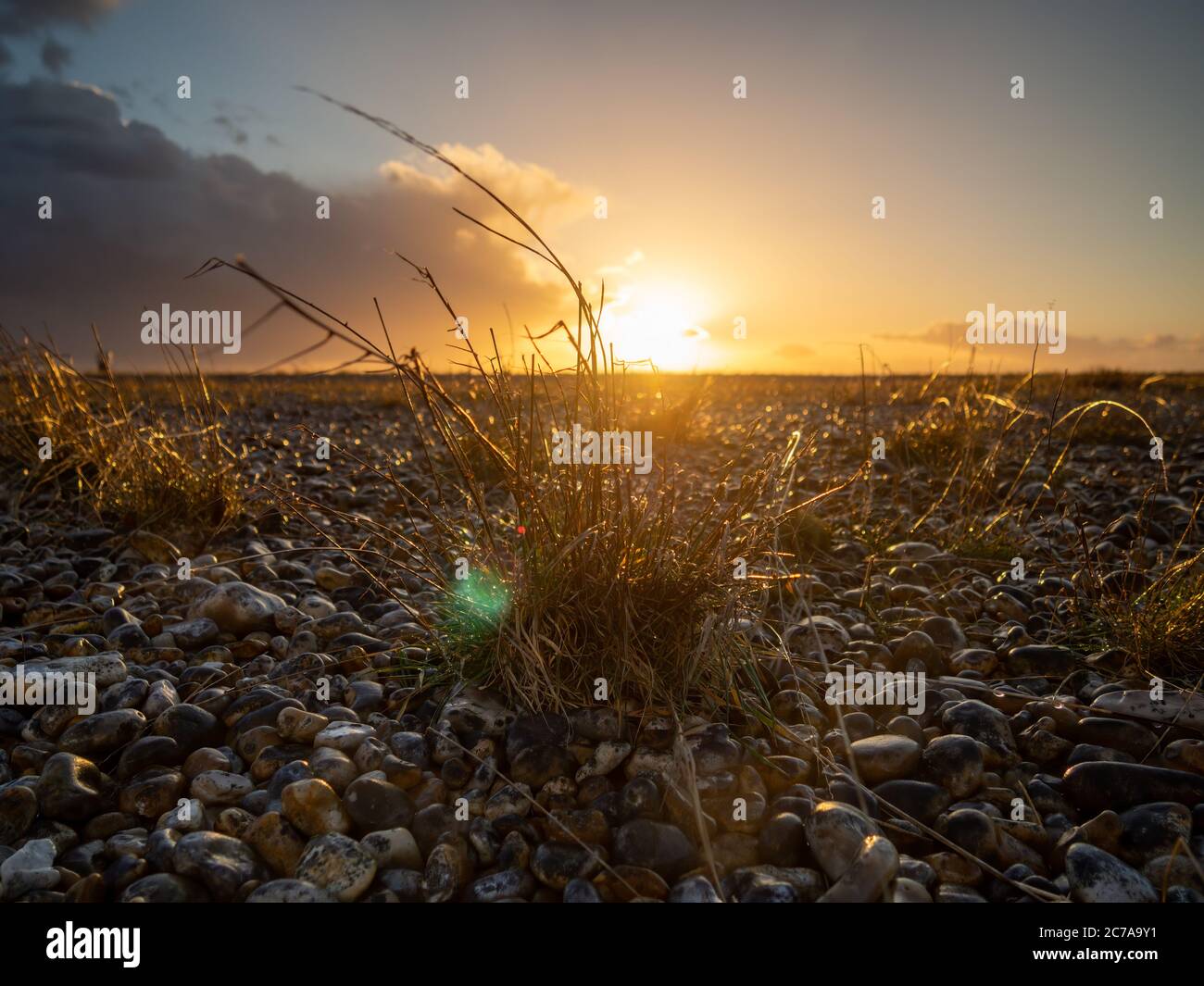 Windswept landscape hi-res stock photography and images - Alamy